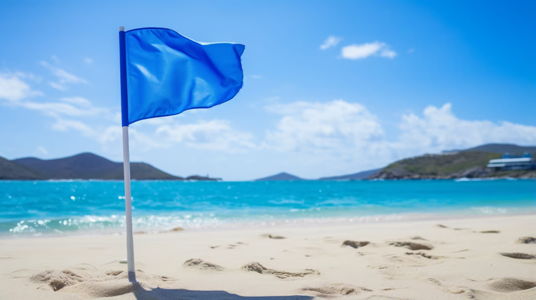 Beyond the Blue Flag: Initiatives Making Waves in USVI's Conservation Scene