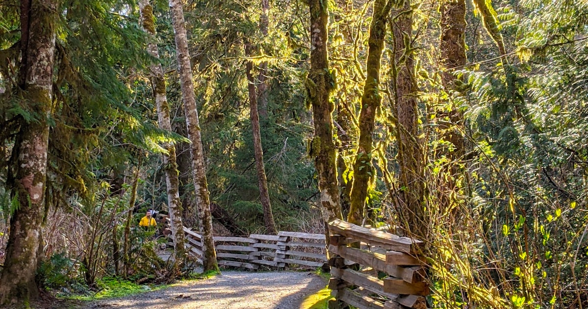 Explore Maple Ridge: Outdoor Adventures, Hidden Gems, and Best Places ...