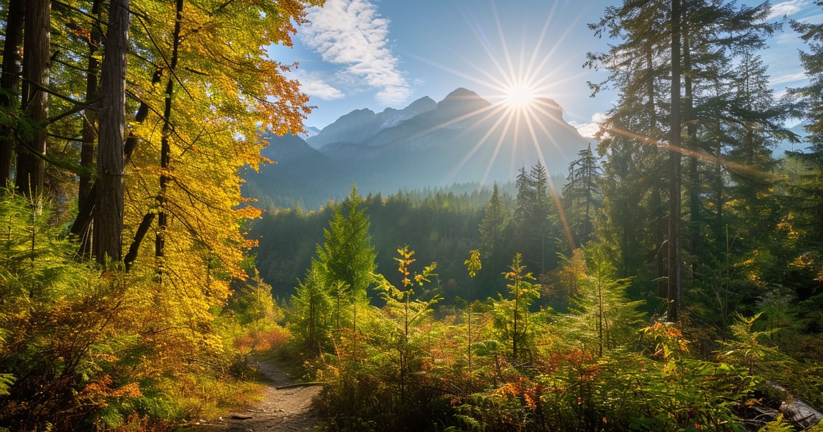 Explore Maple Ridge: Outdoor Adventures, Hidden Gems, and Best Places ...