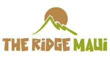 Experience Maui's Stunning Beaches and Breathtaking Sunsets | The Ridge Maui | Adventure ...
